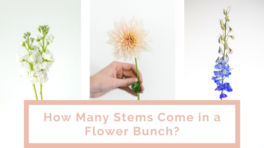 How many stems come in a bunch?